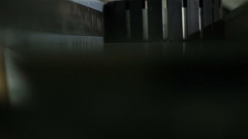 SidPrint